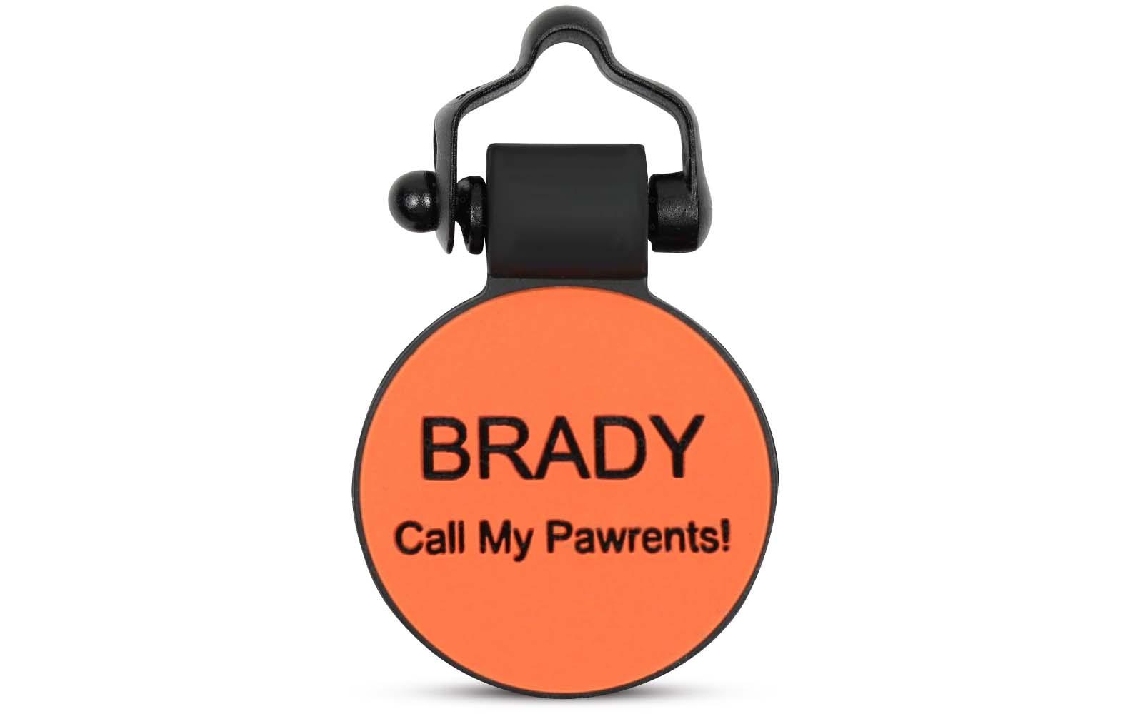 Dog Name Orange Circle Tag | Engraved Dog Tags | SiliDog – SiliDog ...